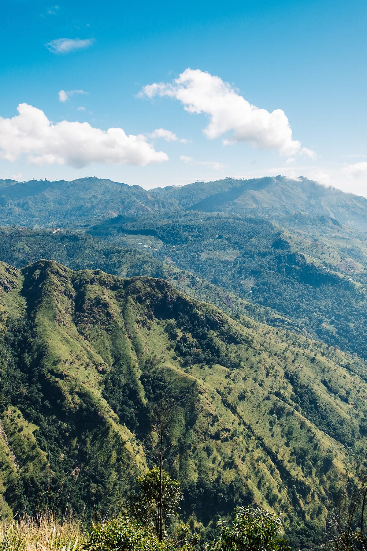 "View From Ella Rock" by Stocksy Contributor "Sam Burton" - Stocksy