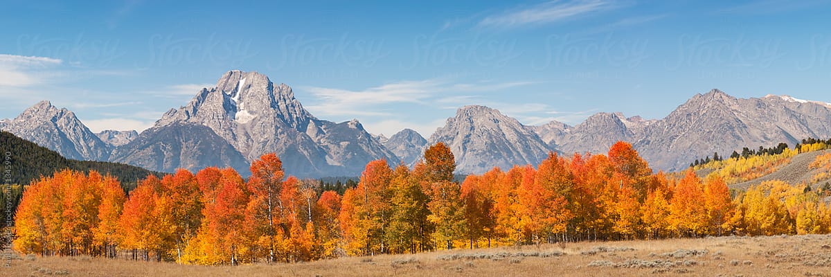 "Mount Moran" by Stocksy Contributor "Paul Tessier" - Stocksy