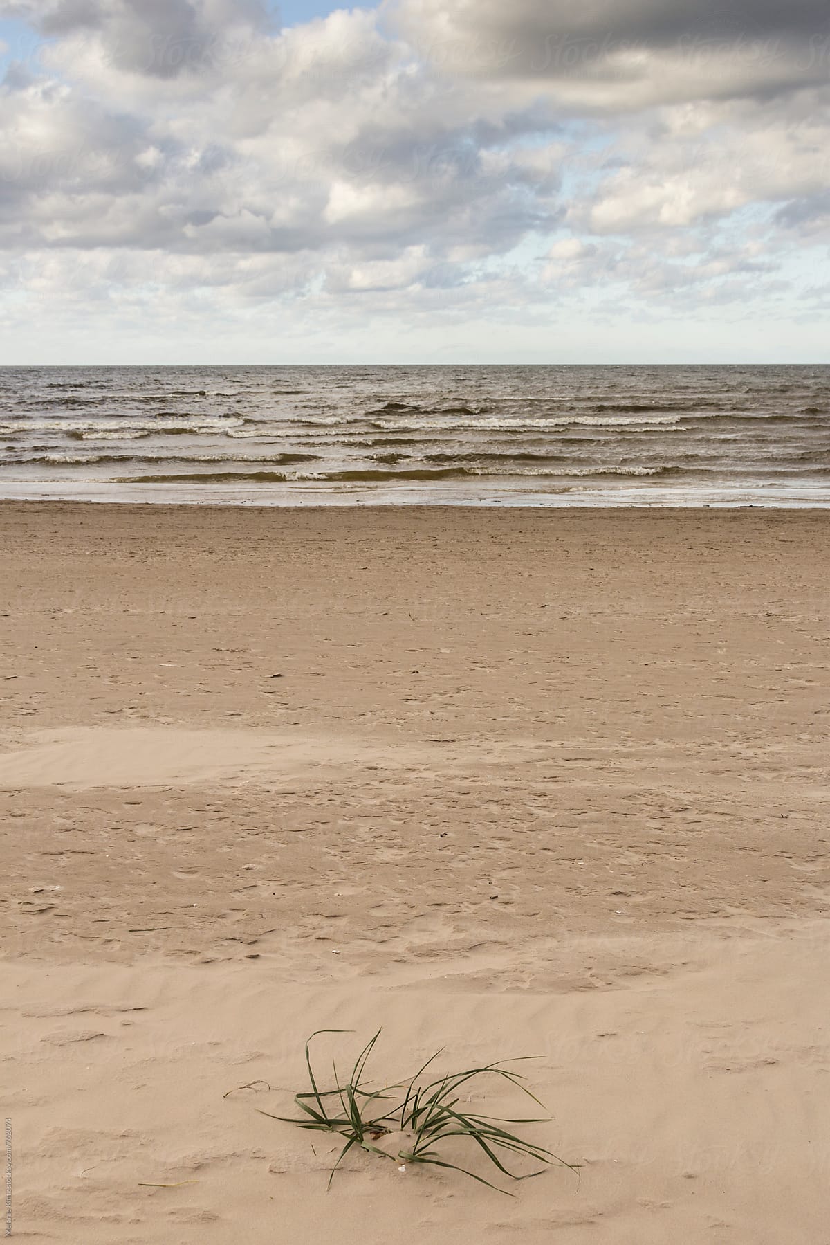 "Beach Grass At An Empty Beach" by Stocksy Contributor "Melanie Kintz ...