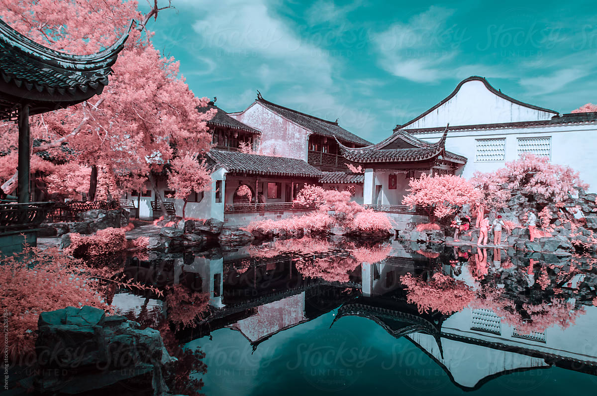 "Suzhou Gardens, Infrared Photography" by Stocksy Contributor "Zheng ...