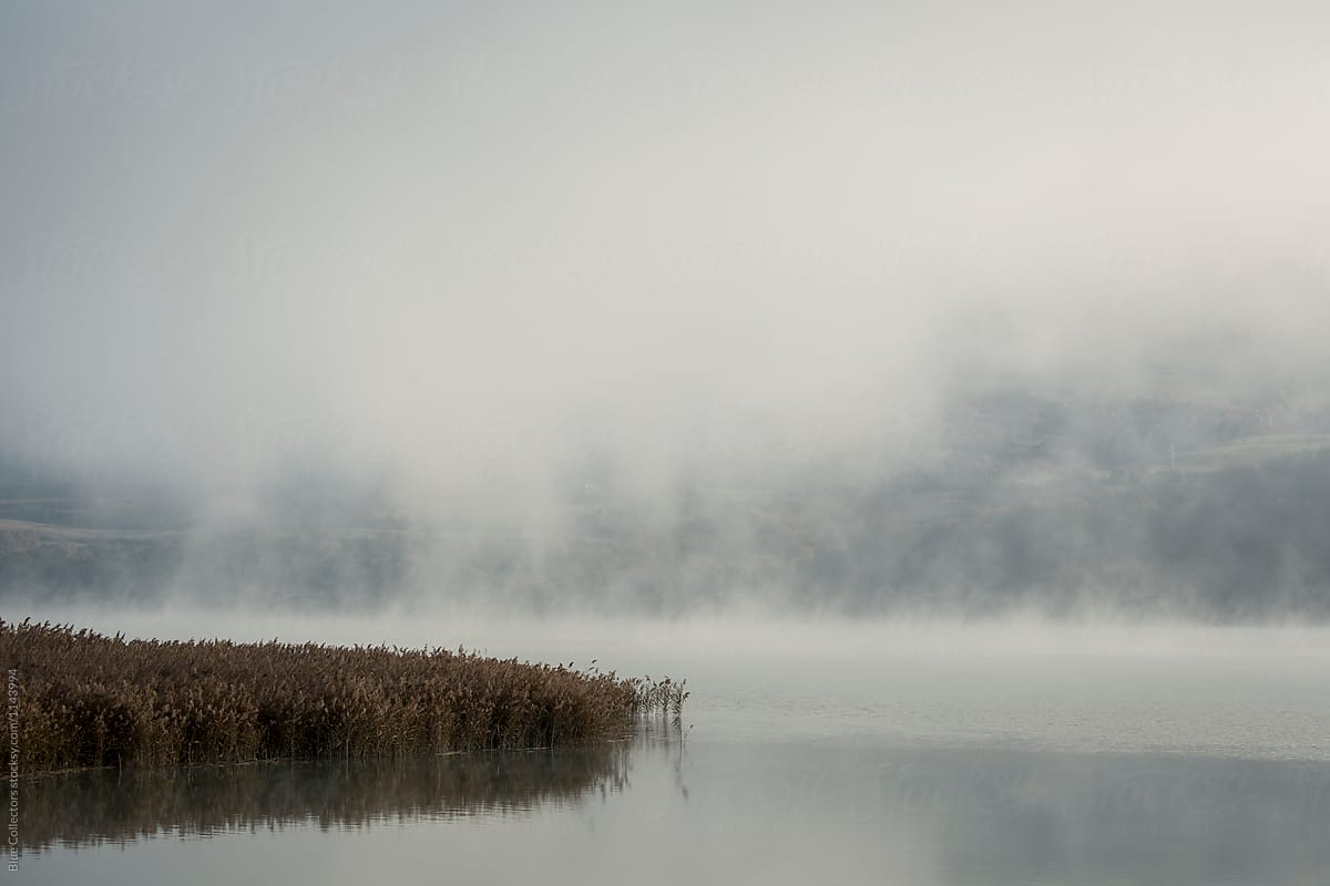 "Thick Fog Over Lake On An Early Morning" by Stocksy Contributor "Jordi ...