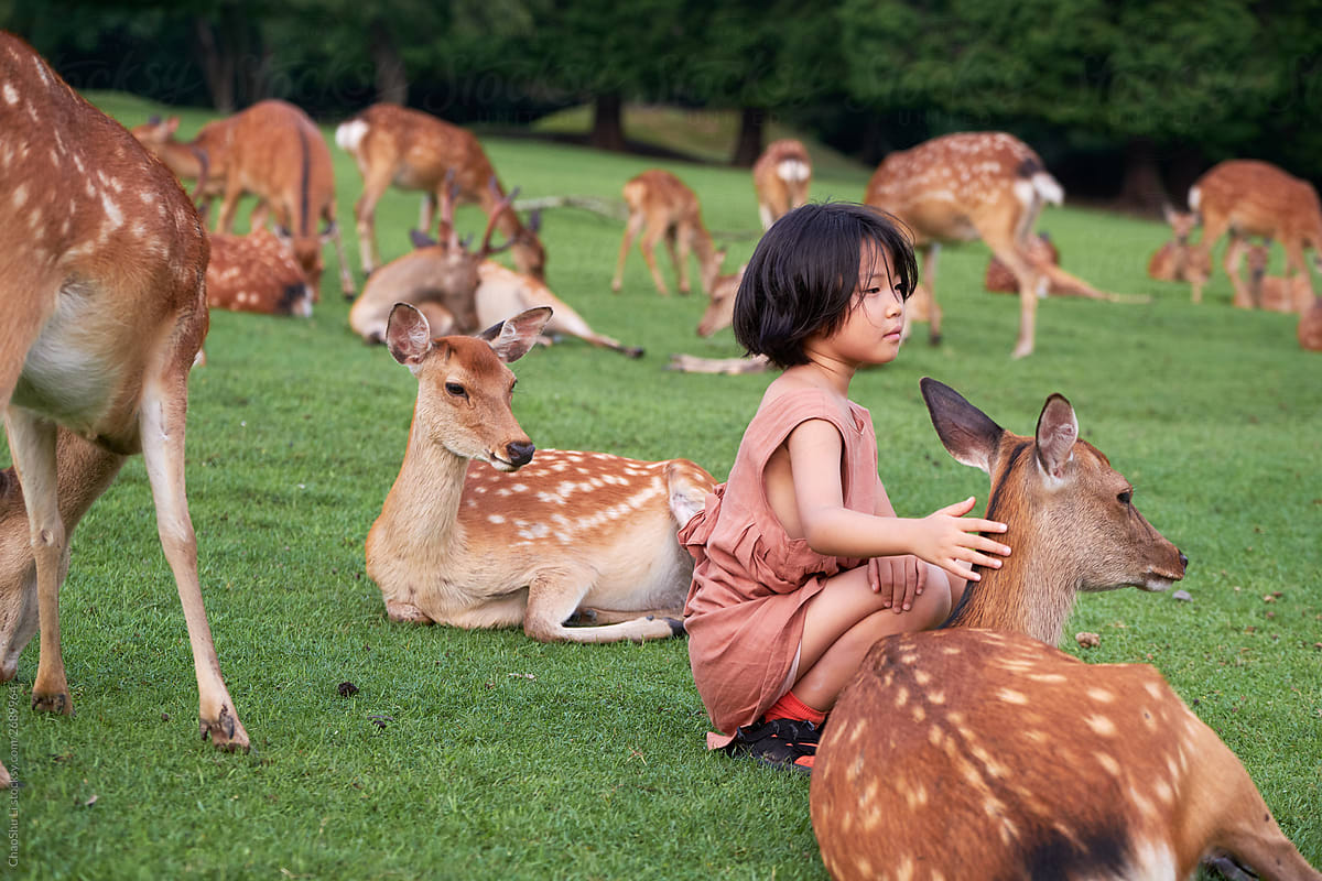"Asian Little Girl With Sika Deer, In Nara, Japan" by Stocksy ...