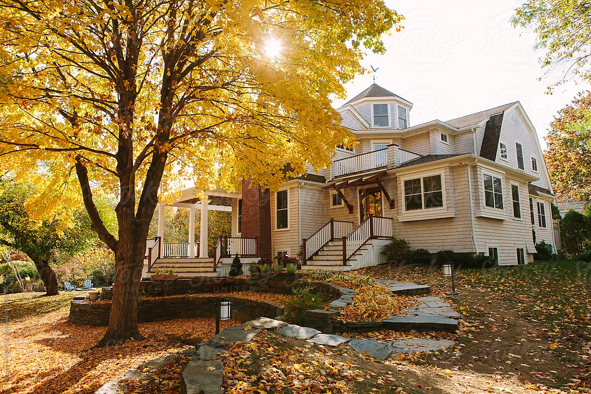"Craftsman Home Exterior Fall Foliage Tree" by Stocksy Contributor ...