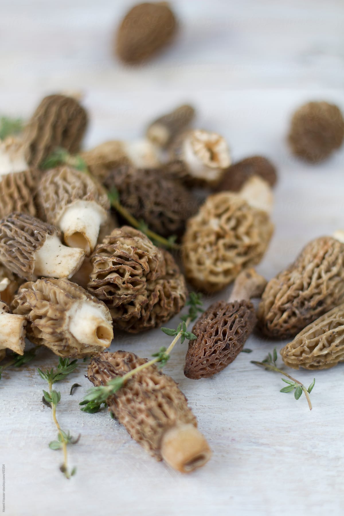 "Fresh Morels With Thyme" by Stocksy Contributor "Noémi Hauser" - Stocksy