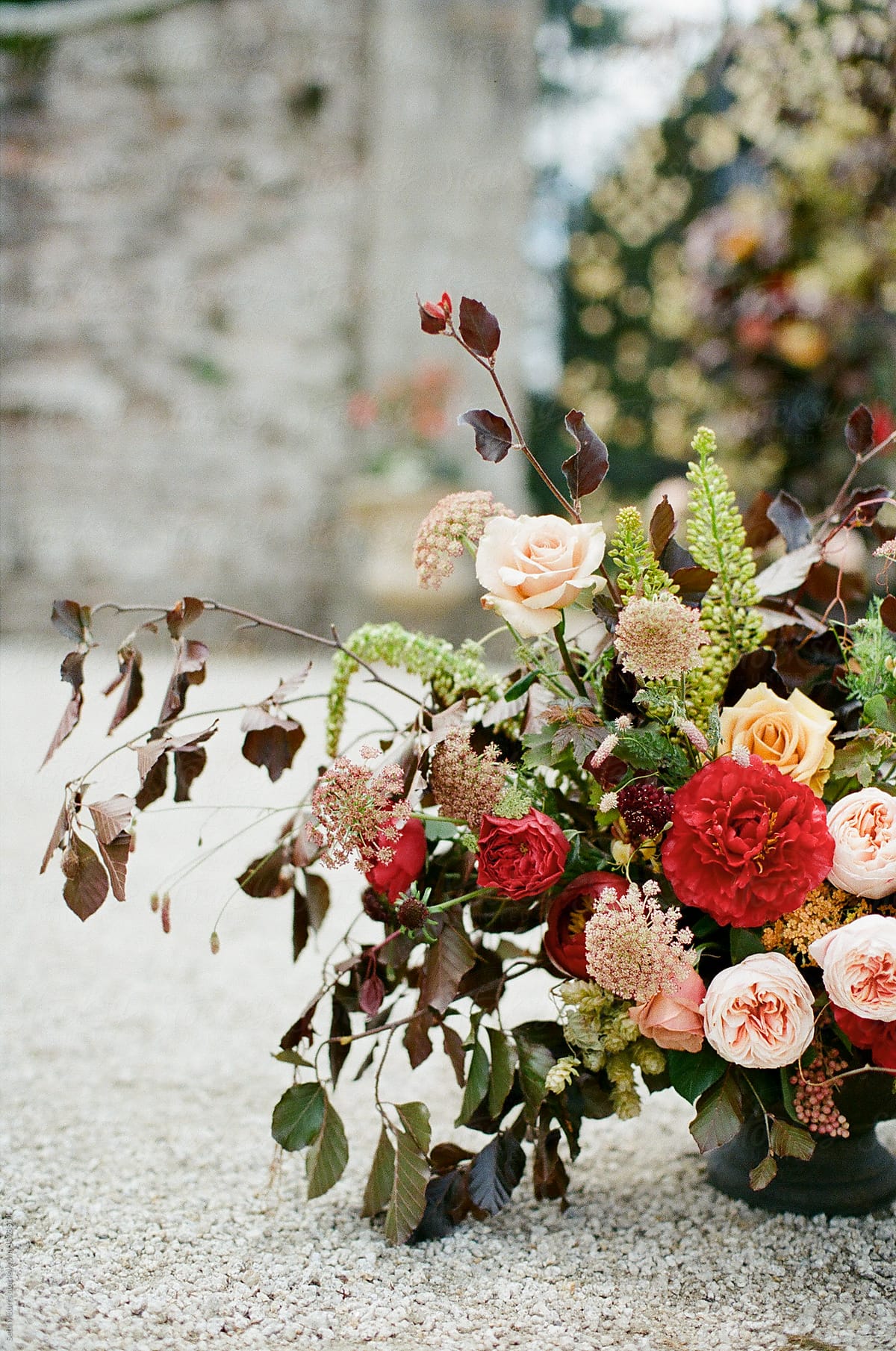 "Rich, Deep, Floral Arrangement" by Stocksy Contributor "Seth Mourra ...
