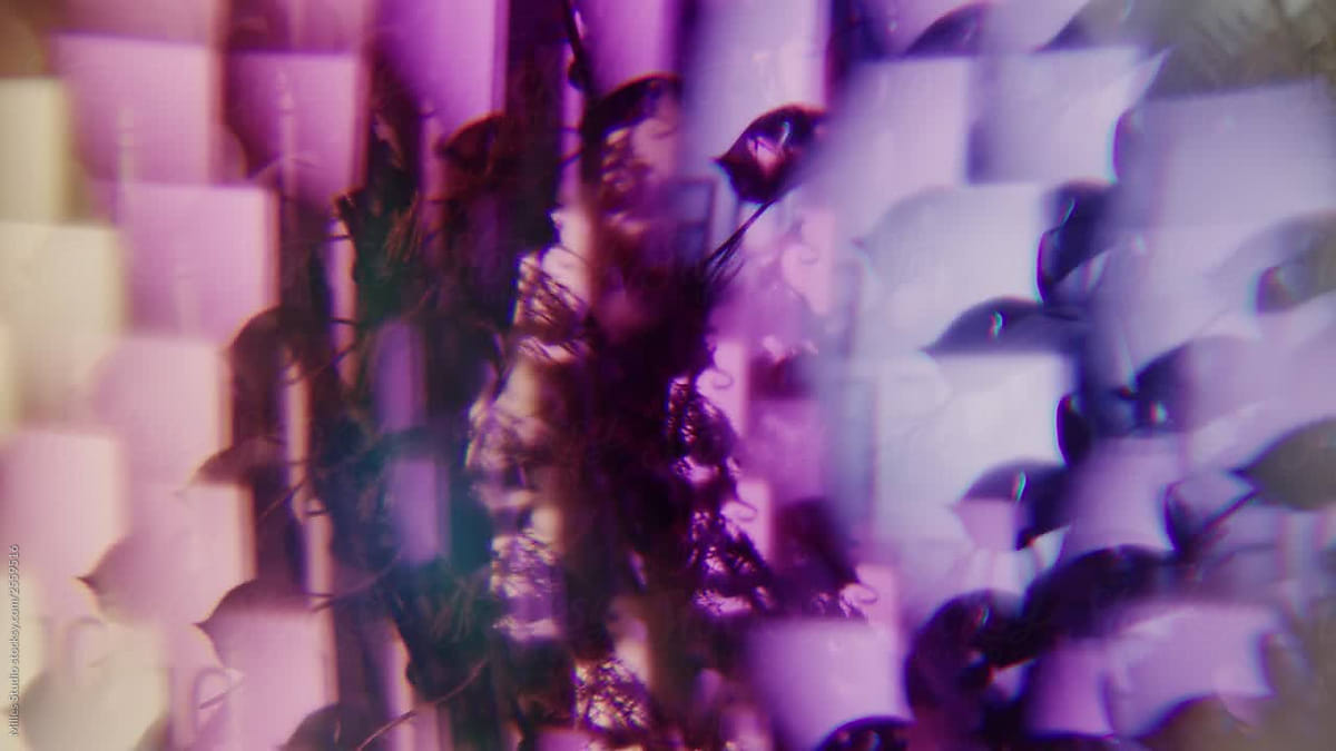 "Glowing Kaleidoscope Lights In Motion" by Stocksy Contributor "Milles ...