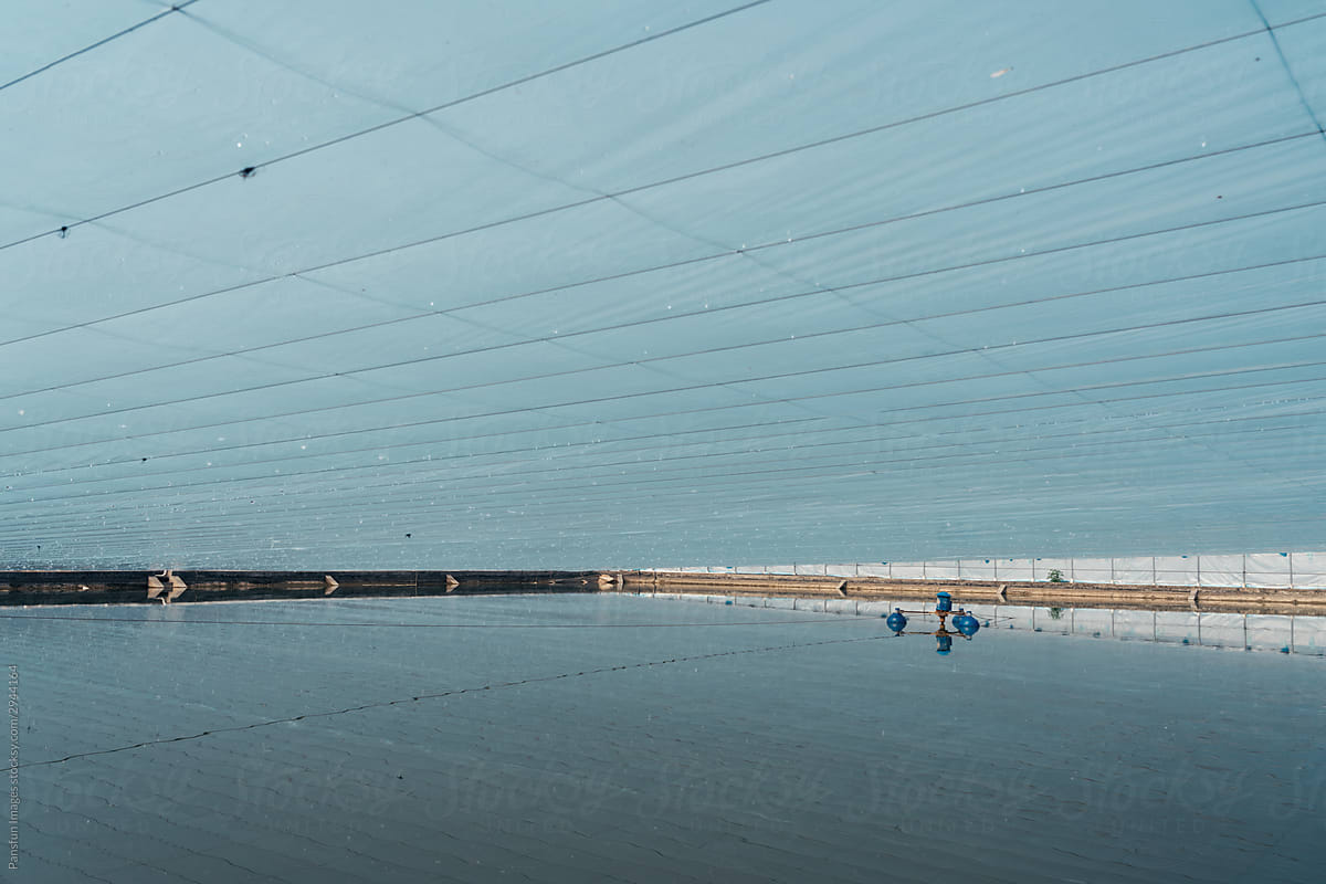 "Aquaculture Factory Farm" by Stocksy Contributor "Pansfun Images ...