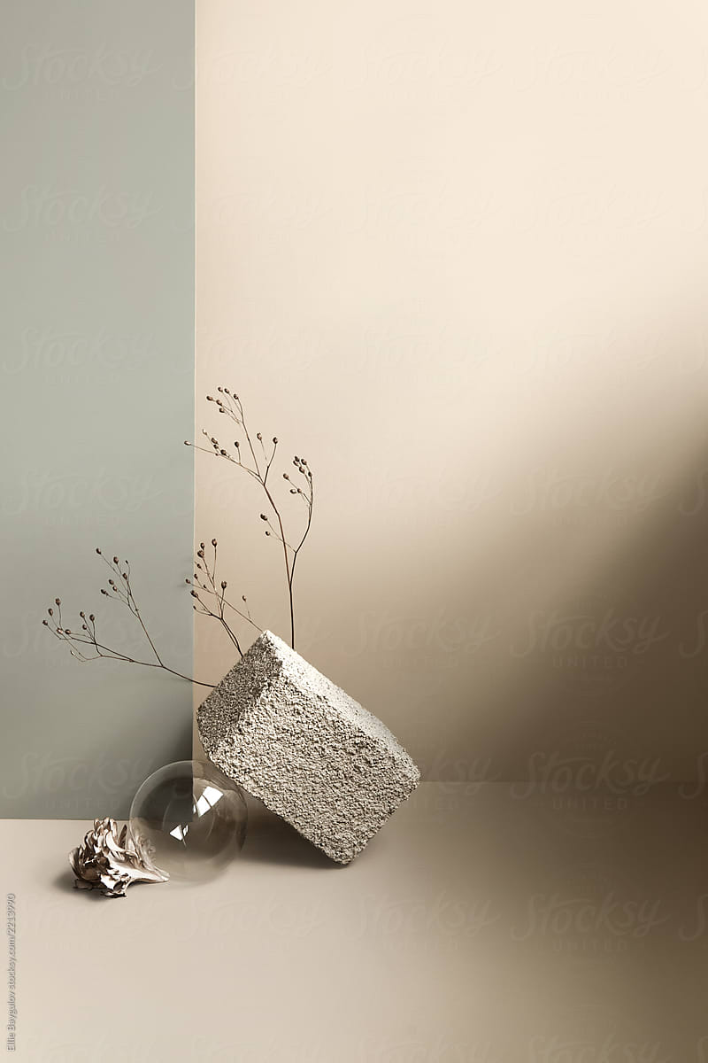 "Conceptual Still Life" by Stocksy Contributor "Ellie Baygulov" - Stocksy