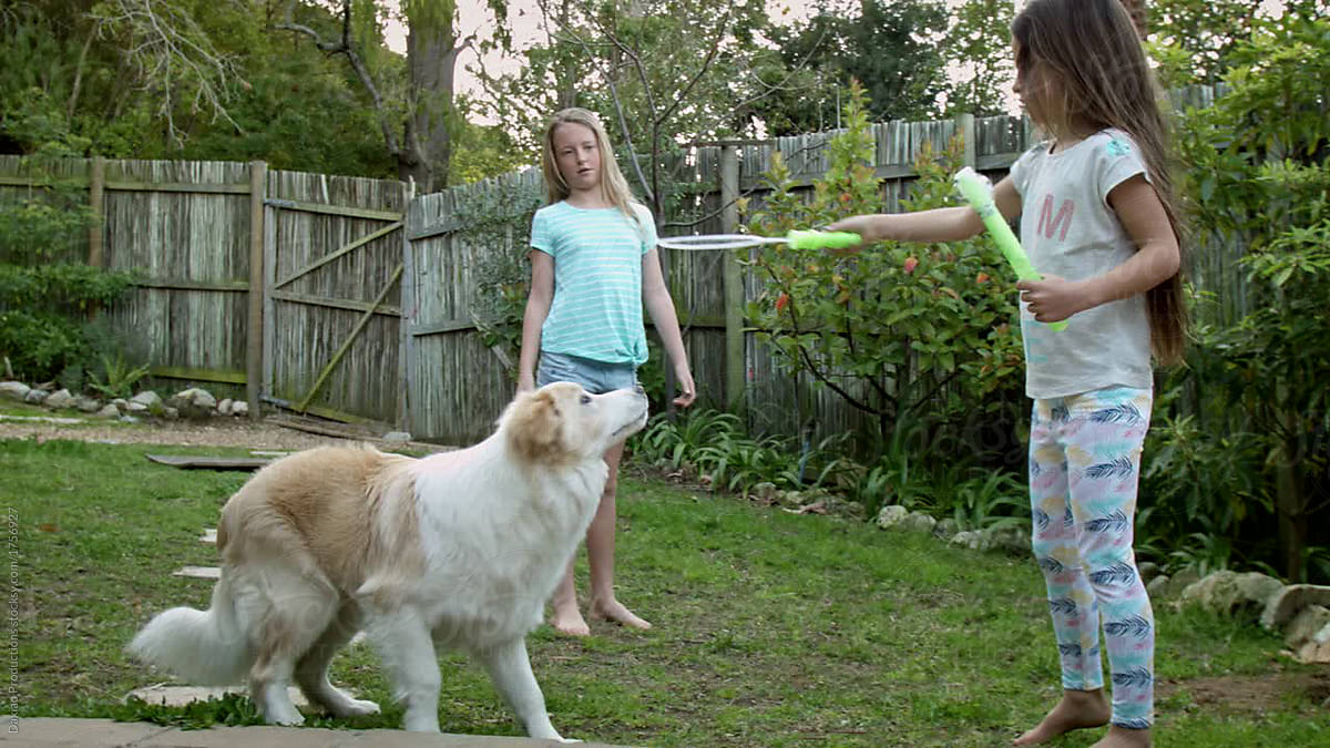 "Children Playing Together In The Garden With Pet Dog Outdoor Lifestyle ...