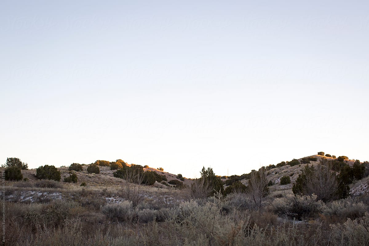 "Nature On A Hill Side" by Stocksy Contributor "Bowery Image Group Inc ...