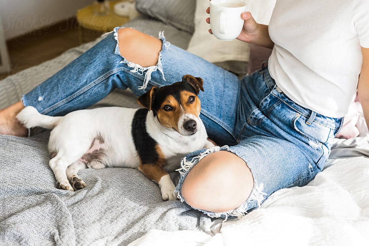 "Dog And His Owner Enjoying At Home" by Stocksy Contributor "Lumina ...