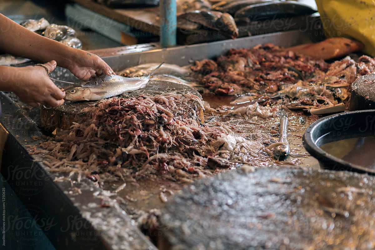"Fishmonger Deboning And Descaling Milkfish Or Bangus In A Market In ...