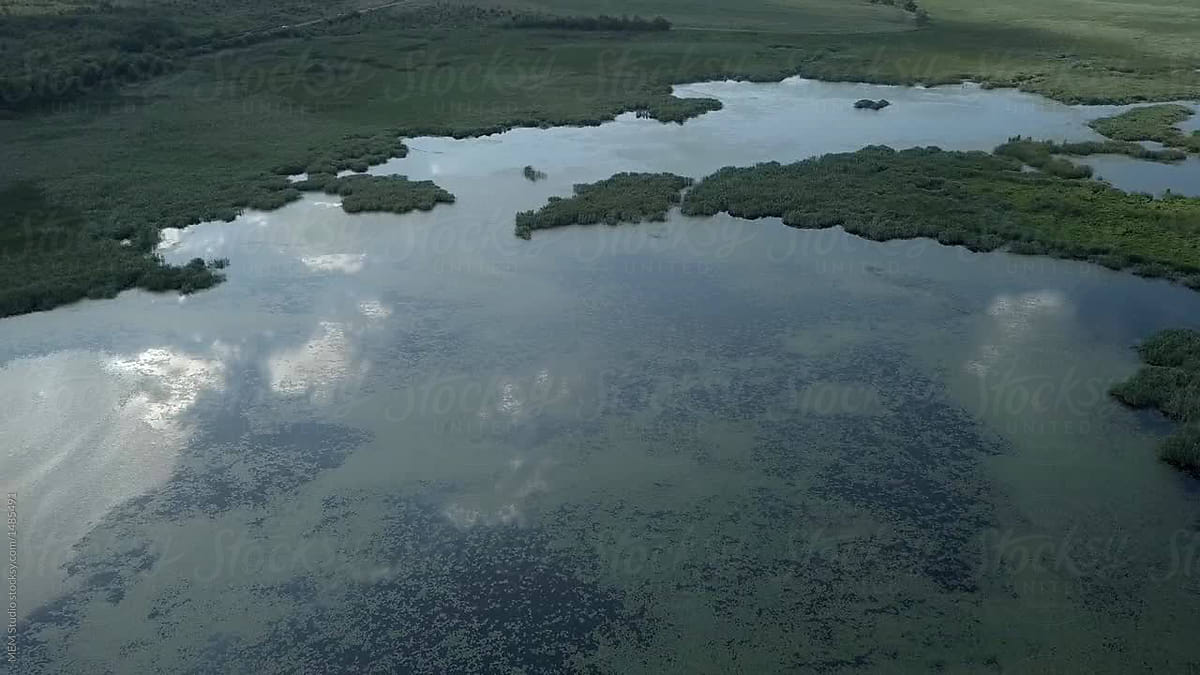 "Swamp Reflecting The Sky" by Stocksy Contributor "MEM Studio" - Stocksy