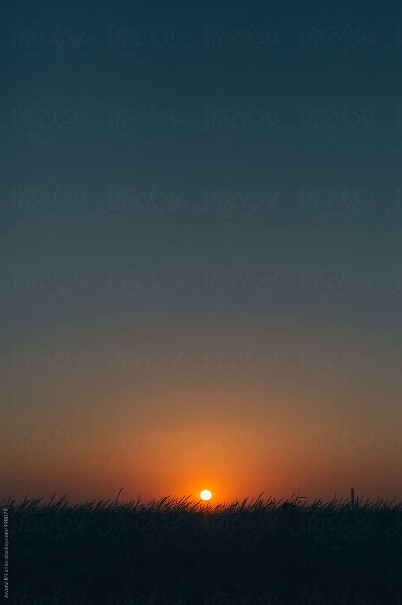 "Sunset Over A Crop Field" by Stocksy Contributor "Jovana Milanko ...