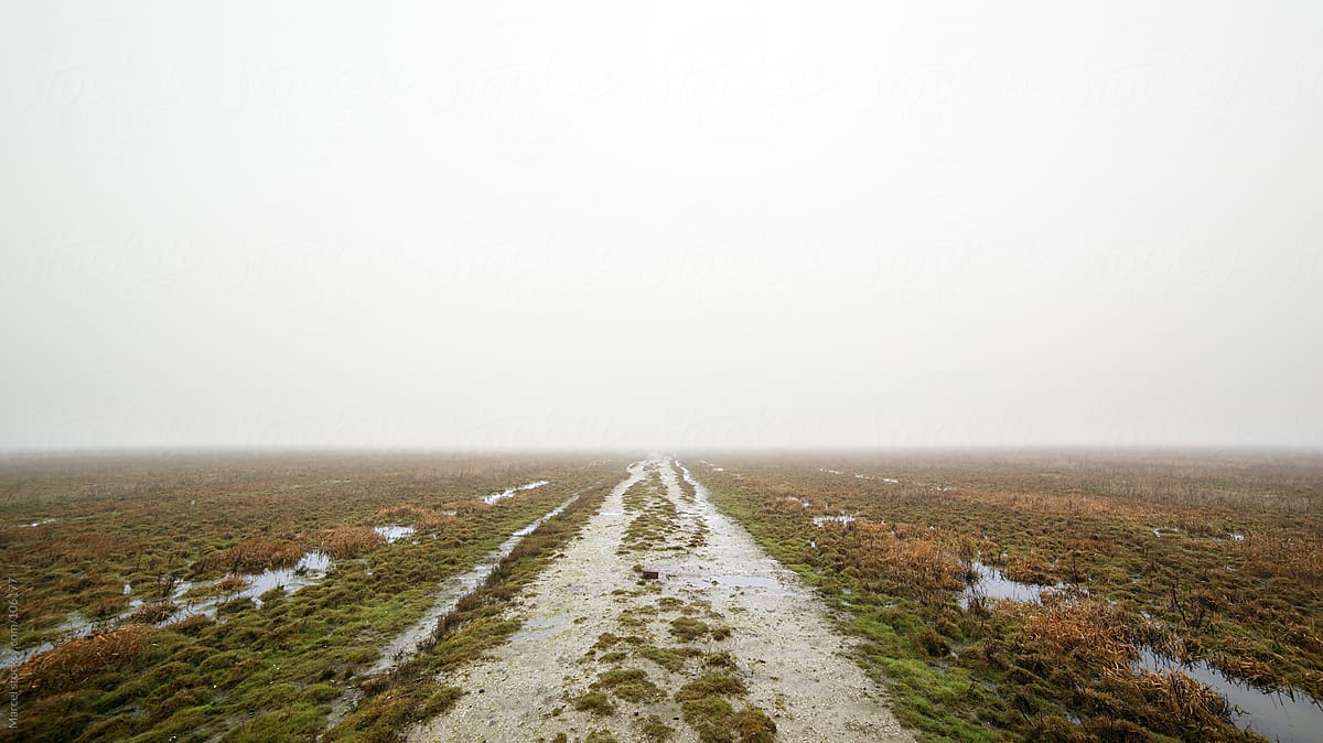 "The Great Wide Open" by Stocksy Contributor "Marcel" - Stocksy