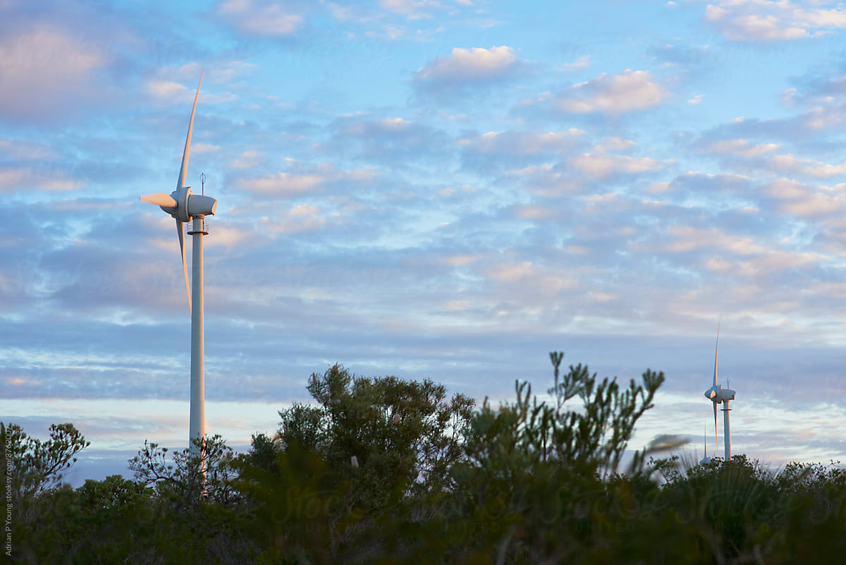"Wind Turbine On Wind Farm Behind Bushes" by Stocksy Contributor ...