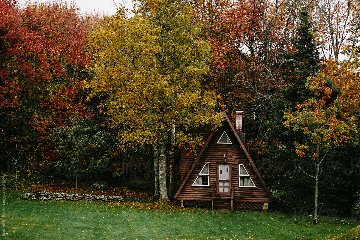 "A Frame Cabin In The Fall" by Stocksy Contributor "Brad And Jen ...