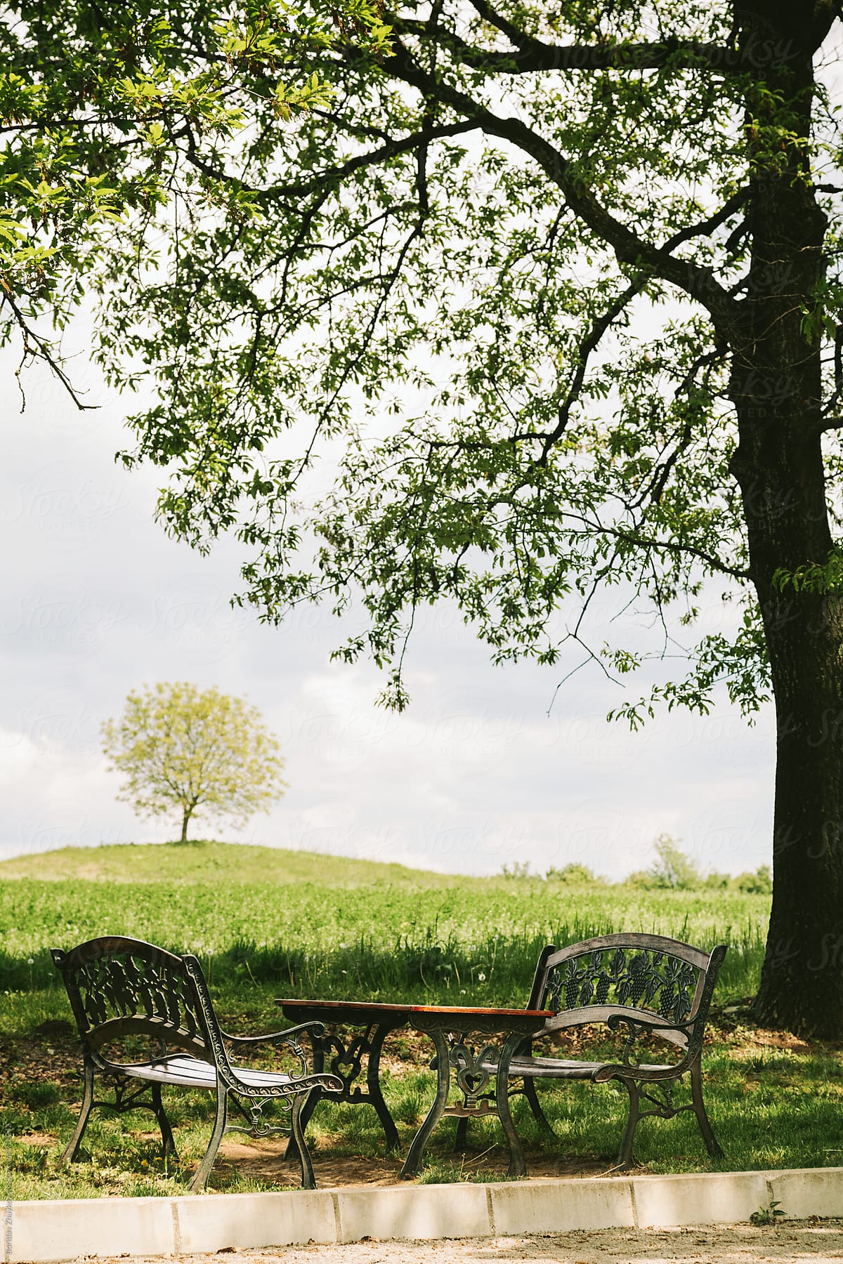 "Metal Bench And Table Under The Tree" by Stocksy Contributor "Borislav ...
