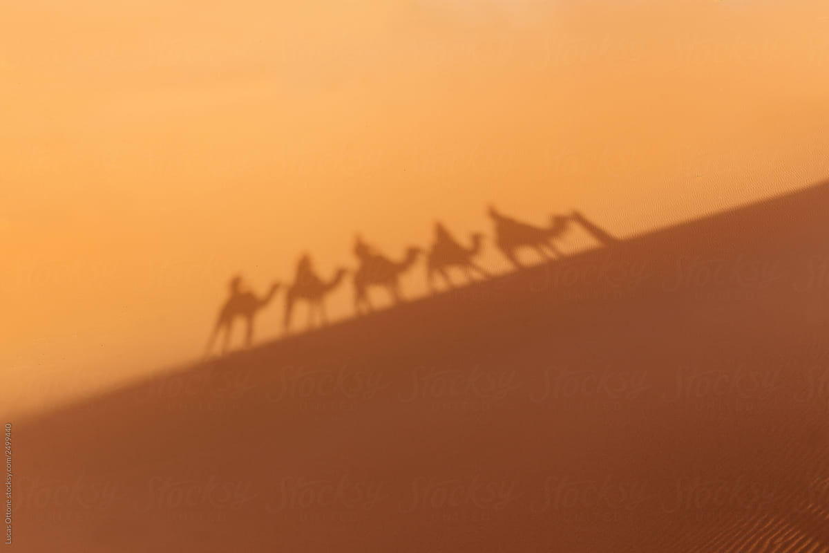 "Shadow Of A Camel Caravan In The Desert" by Stocksy Contributor "Lucas ...