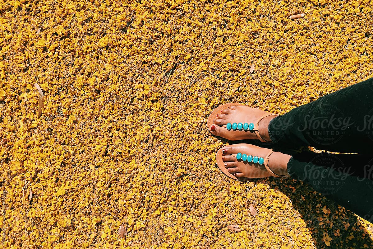 "Brown Feet In Turquoise Sandals On Fallen Yellow Flowers" by Stocksy ...