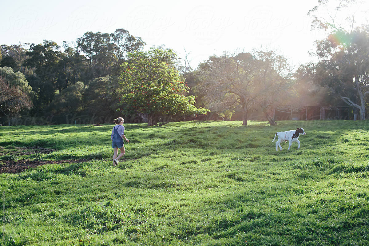 "Rounding Up A Stray Calf" by Stocksy Contributor "Jacqui Miller" - Stocksy