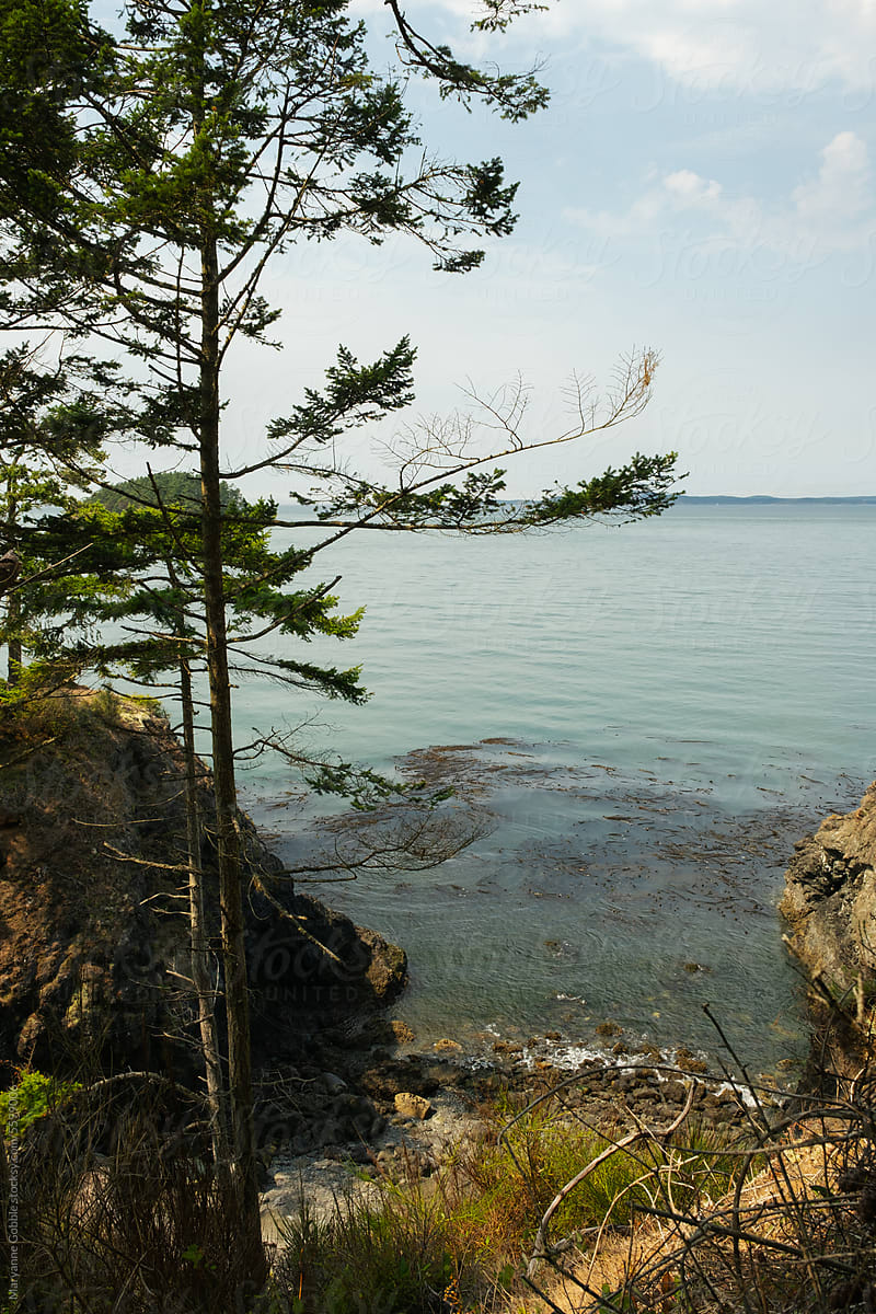 "Ocean And Beach View In Deception Pass State Park, Washington" by ...