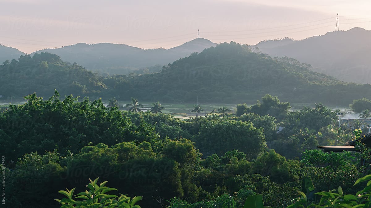 "Field,China" by Stocksy Contributor "Rein Cheng" - Stocksy