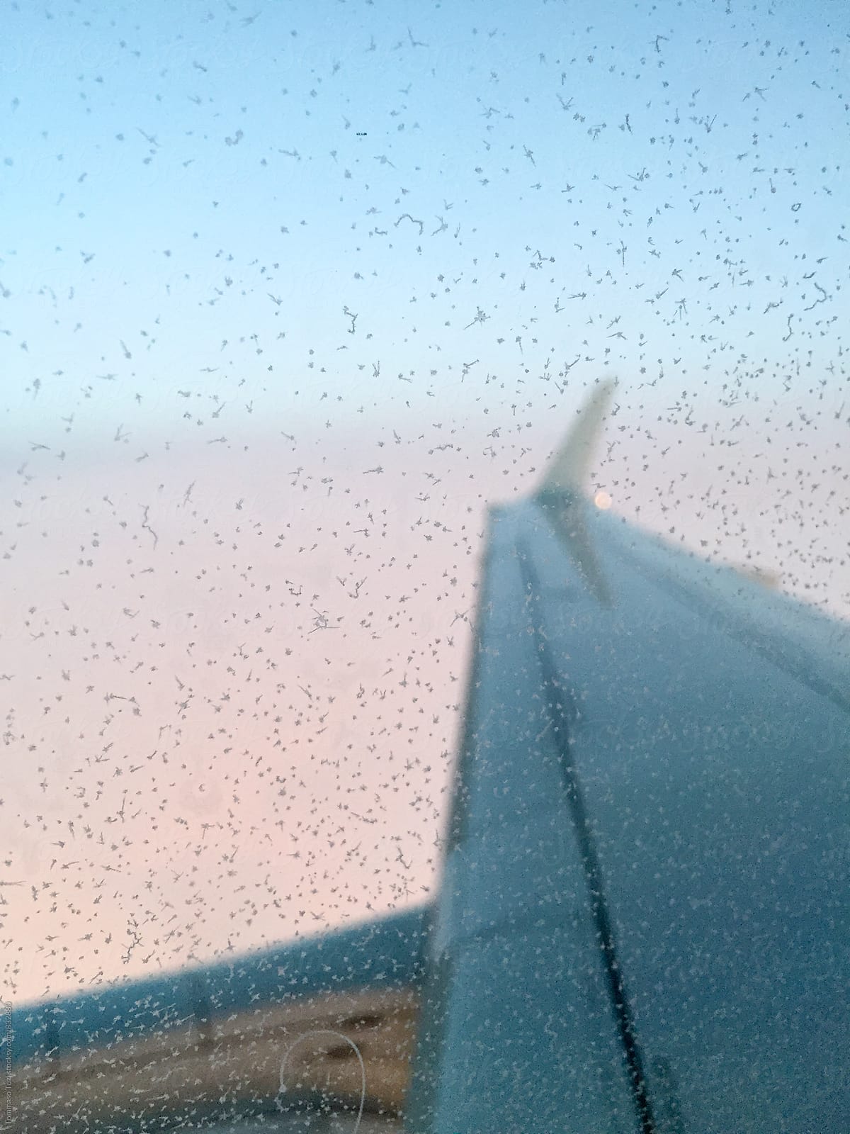 "View Out Of The Window" by Stocksy Contributor "Tommaso Tuzj" - Stocksy