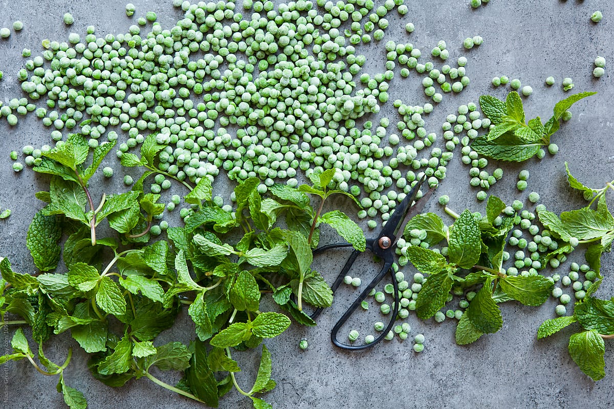 "Frozen Peas And Mint" by Stocksy Contributor "Nadine Greeff" - Stocksy