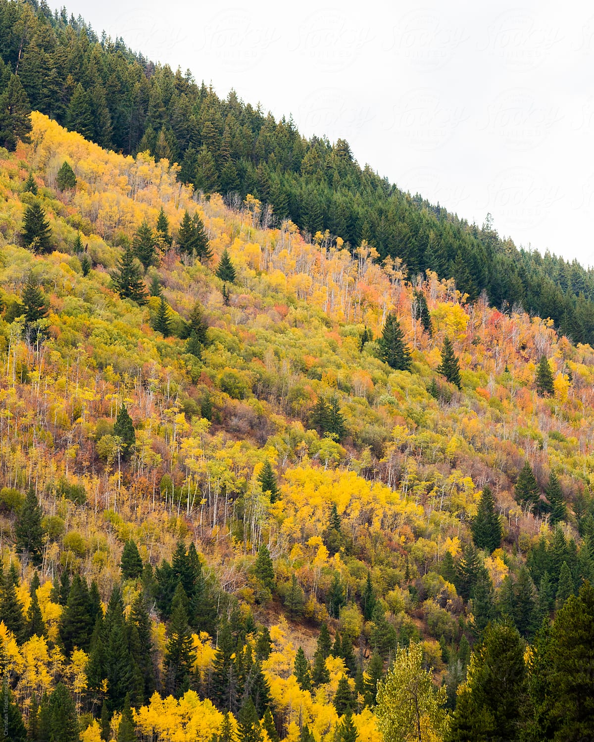 "Bright Fall Colours On A Mountain Pass" by Stocksy Contributor ...