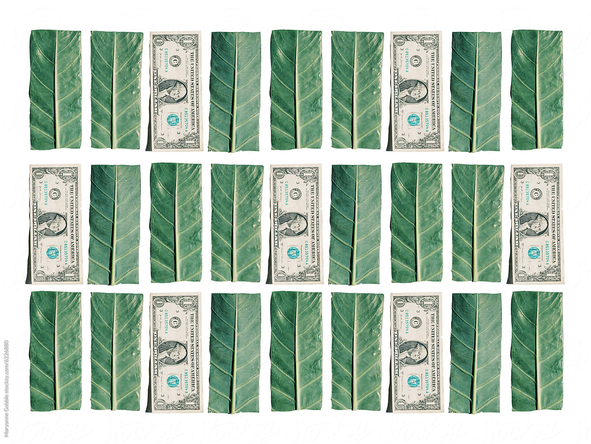 "Green Money Spending Concept" by Stocksy Contributor "Maryanne Gobble ...
