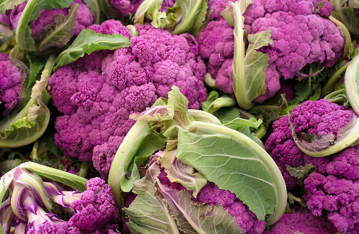 "Purple Cauliflower" by Stocksy Contributor "Carolyn Lagattuta" - Stocksy