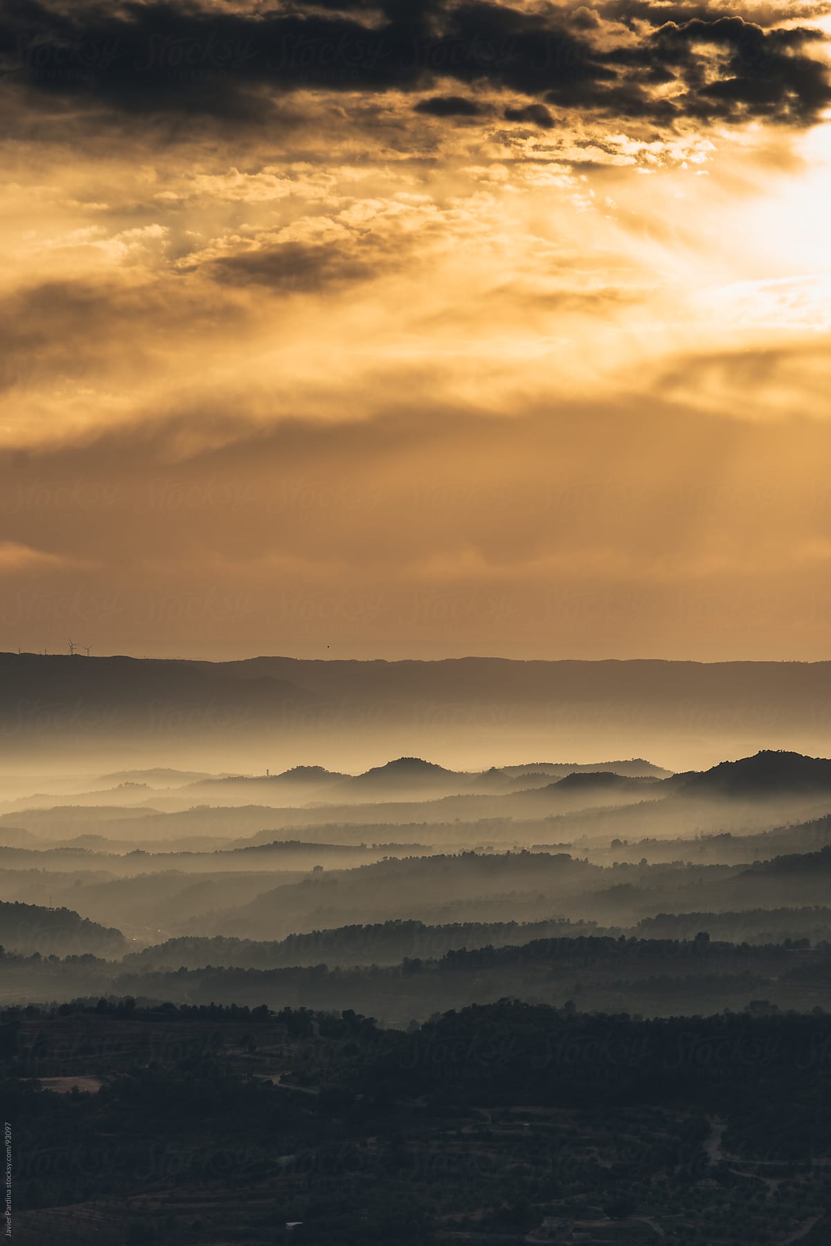 "Sunset At Nature" by Stocksy Contributor "Pardina Studio x Katya D ...