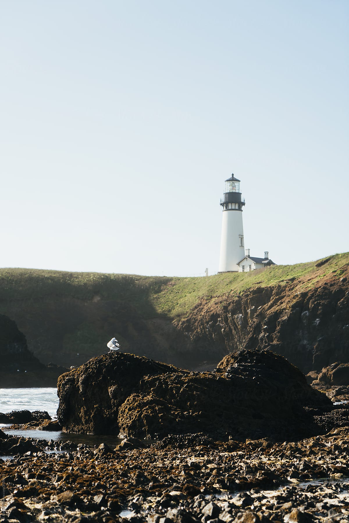 "Beautiful Tall White Lighthouse" by Stocksy Contributor "Branden ...