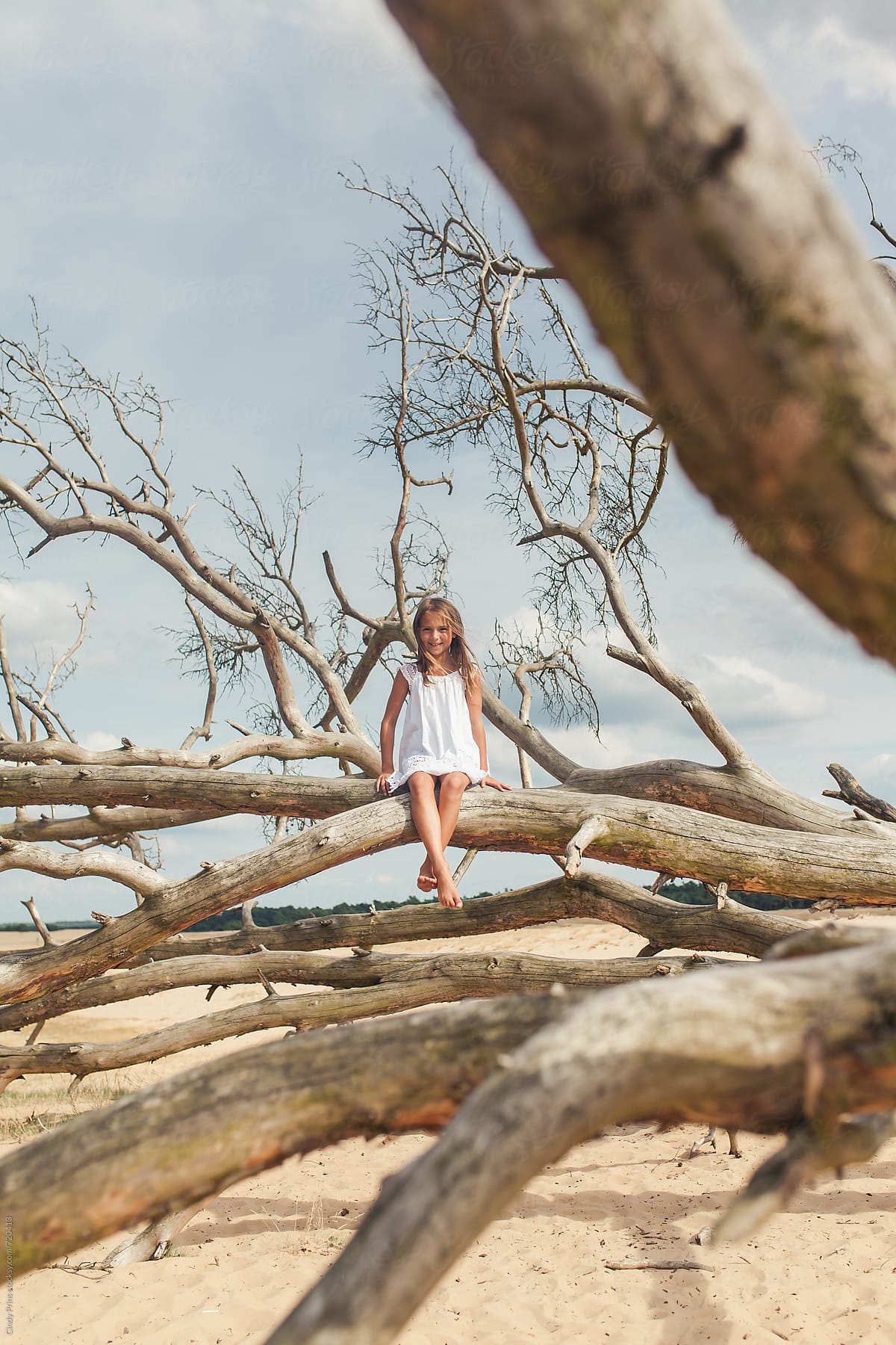 "Barefoot Little Girl In White Dress Sitting On Tree Branches" by ...