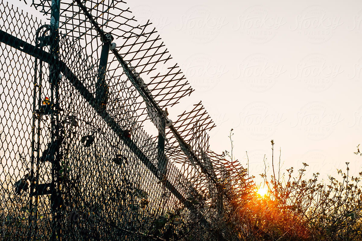 "Wire Fence" by Stocksy Contributor "Sam Burton" - Stocksy