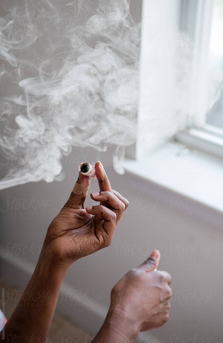 "CBD Cannabis Flower" by Stocksy Contributor "Eddie Pearson" - Stocksy