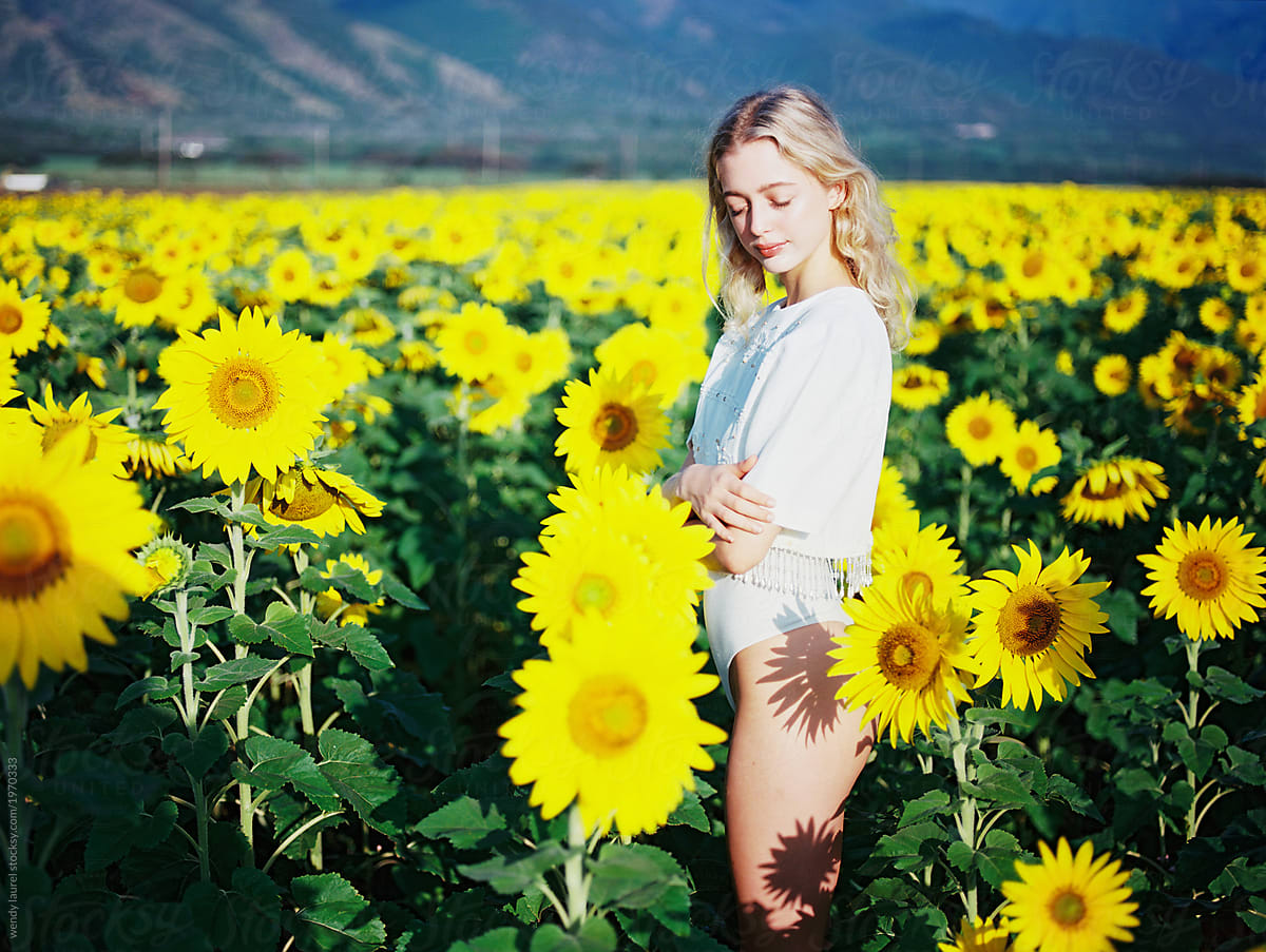 "Sunflowers Field With Joy And Happiness" by Stocksy Contributor "Wendy ...