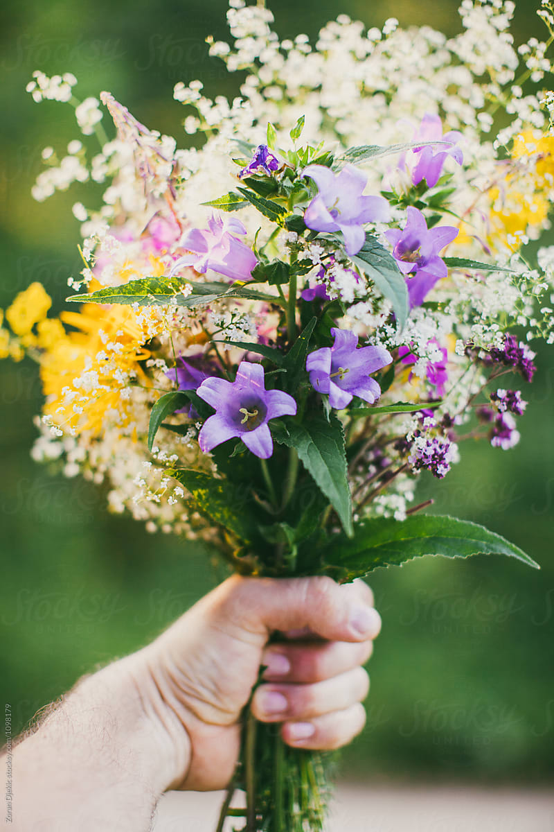 "Wildflower Bouquet" by Stocksy Contributor "HIGHLANDER" - Stocksy