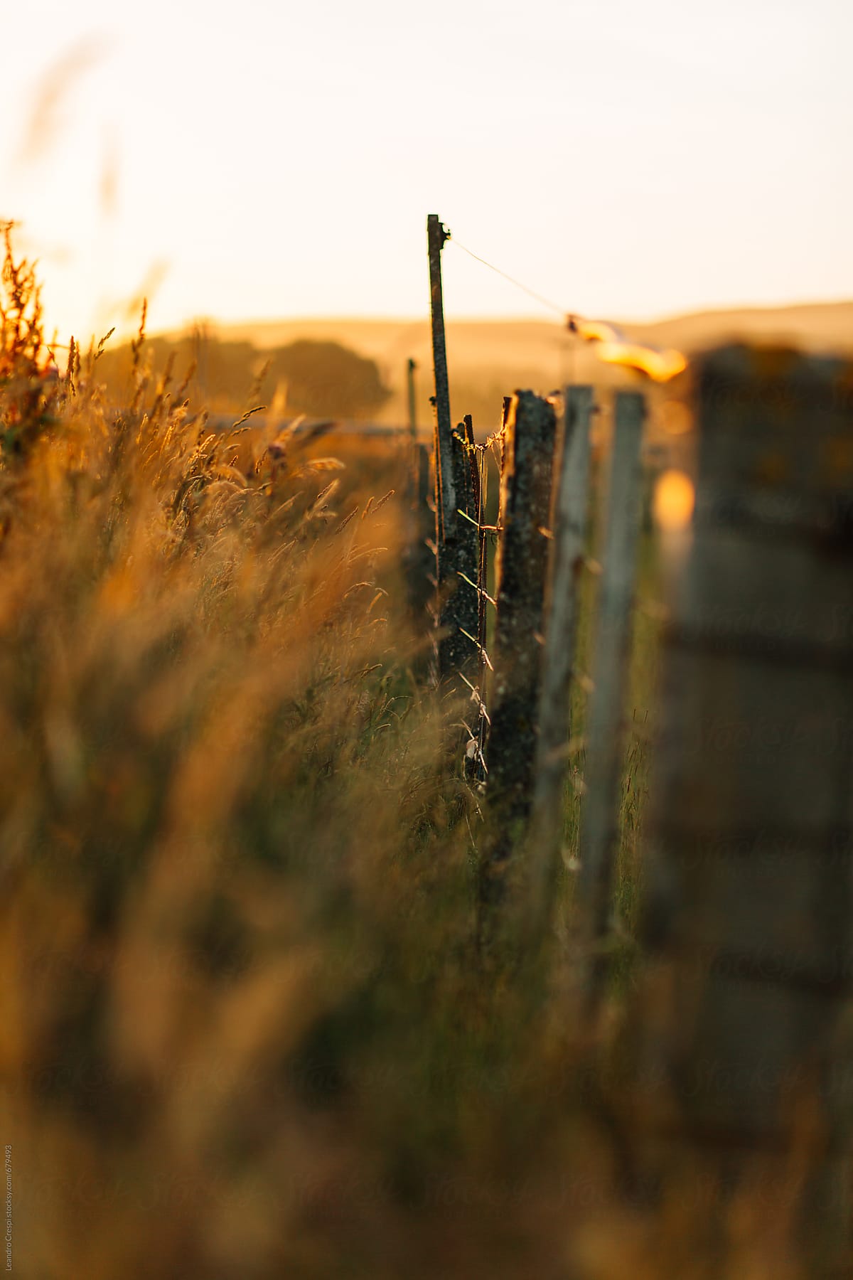 "A Close-up Of A Fence At Sunset" by Stocksy Contributor "Leandro ...