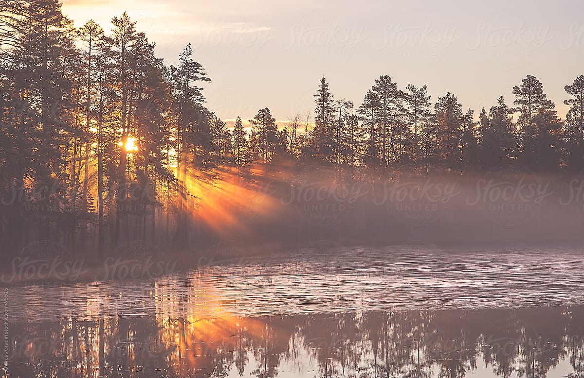 "Scandinavian Sunet" by Stocksy Contributor "Andreas Gradin" - Stocksy