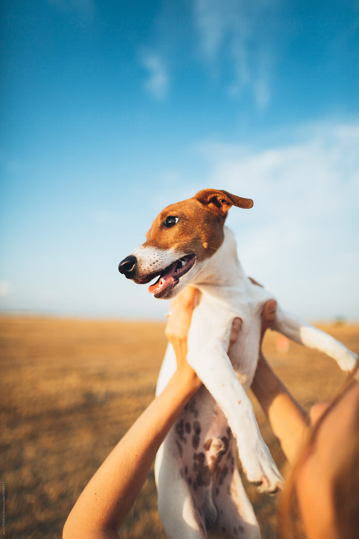 "Child Carrying Dog" by Stocksy Contributor "Pardina Studio x Katya D ...