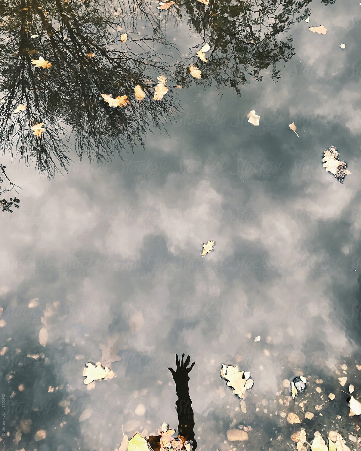 "Hand Puddle Reflection" by Stocksy Contributor "Jovana Rikalo" - Stocksy