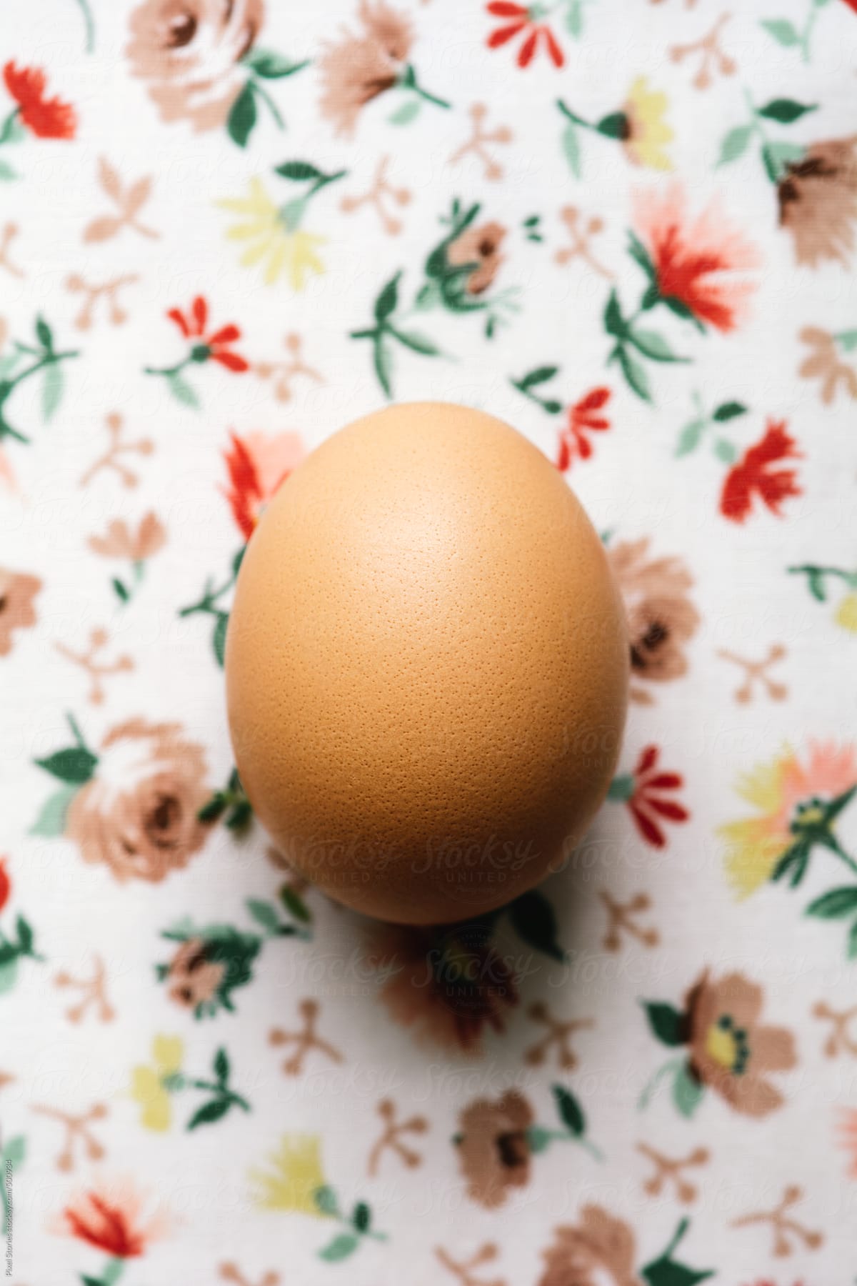 "Home-grown Egg" by Stocksy Contributor "Pixel Stories" - Stocksy