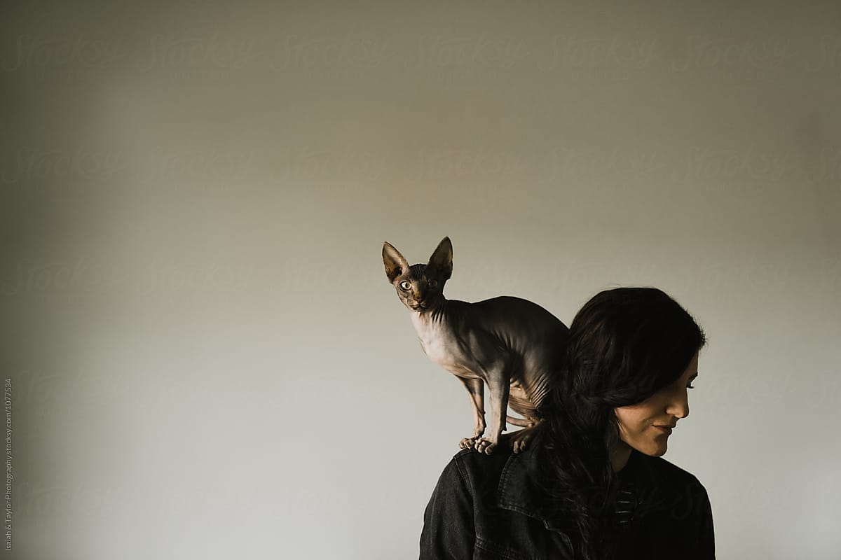 "Cat On Woman" by Stocksy Contributor "Itla" - Stocksy