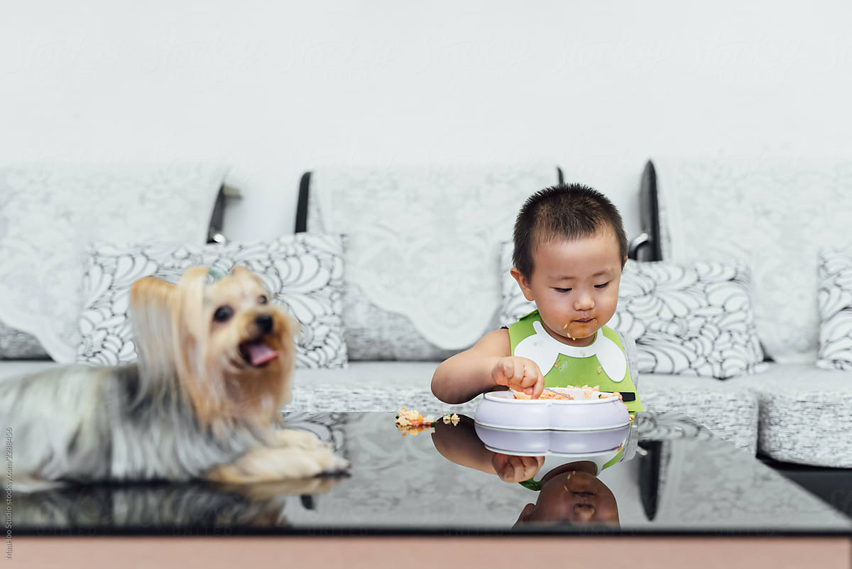 "Adorable Boy Eating At Home" by Stocksy Contributor "MaaHoo" - Stocksy