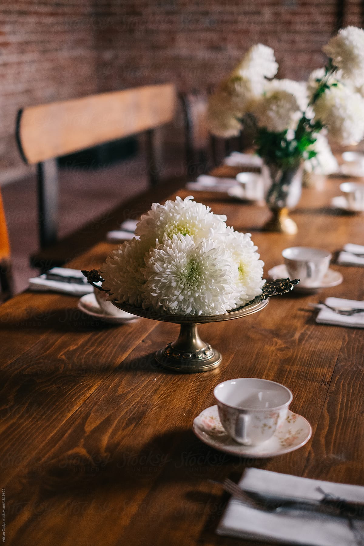 "Table Setup For A Festive Meal" by Stocksy Contributor "Adrian Cotiga ...