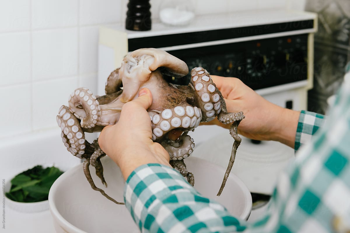 "Chef Cooking Octopus On Stove" by Stocksy Contributor "Jen Grantham ...
