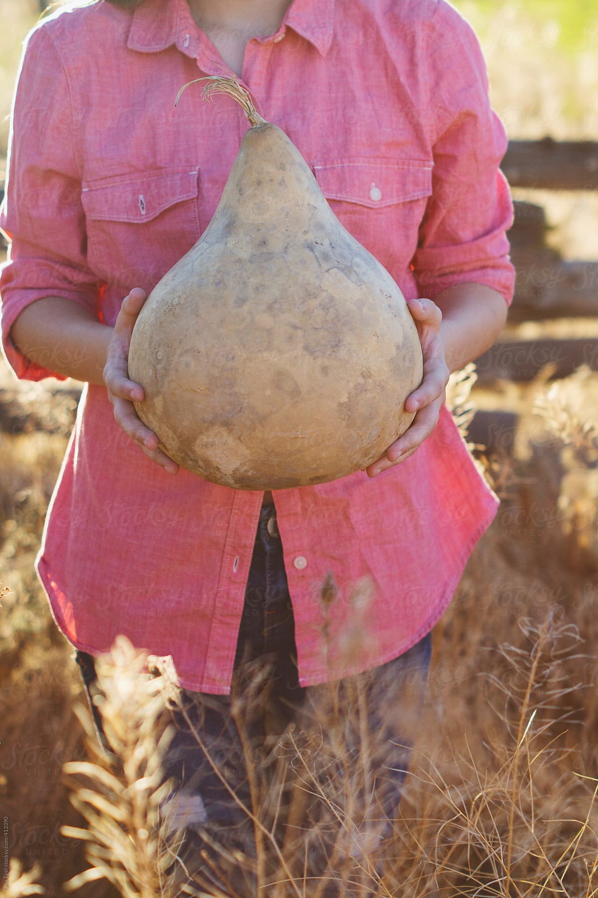 "Dried Kettle Gourd Held In Both Hands" by Stocksy Contributor "Tana ...