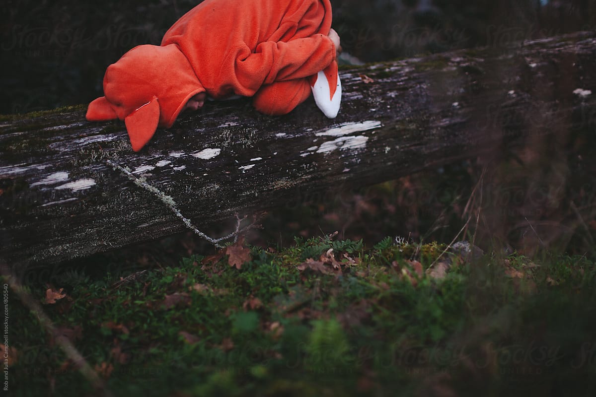 "Child In Fox Costume Pretend Sleeping Outside" by Stocksy Contributor ...